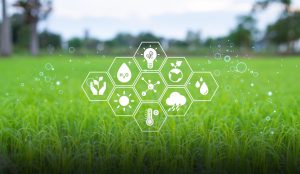 The Role of Biofuels in Powering a Sustainable Future | Jakson Group
