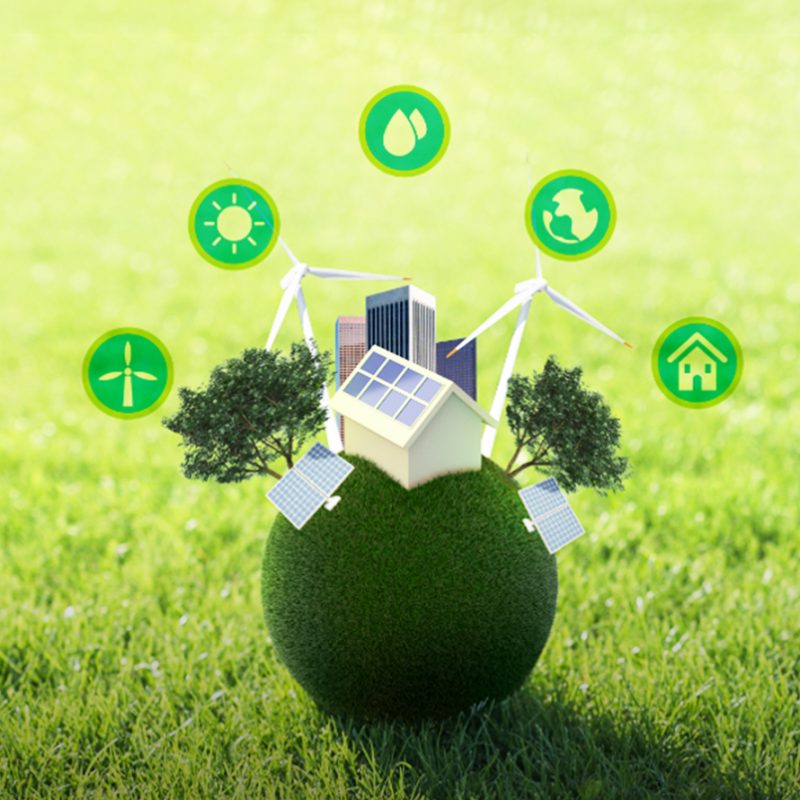 Types of Biofuel and Their Role in a Sustainable Future