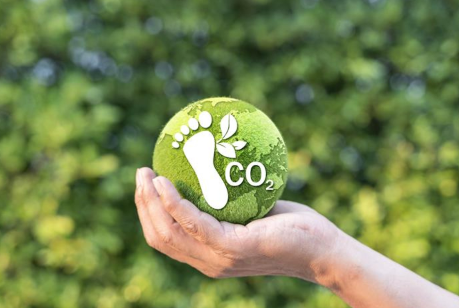 Building the Future Grid: EPC & Infra Firms Lead